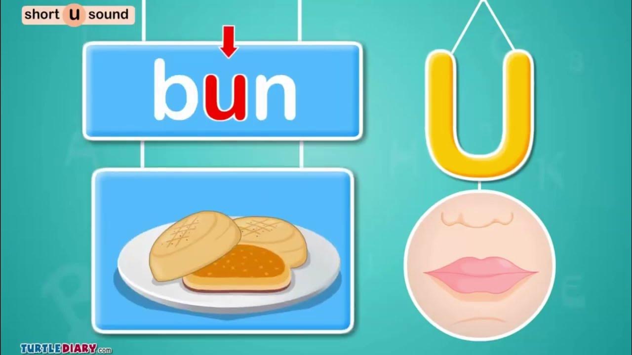 Short /ŭ/ Sound - Fast Phonics I Learn to Read with TurtleDiary.com ...