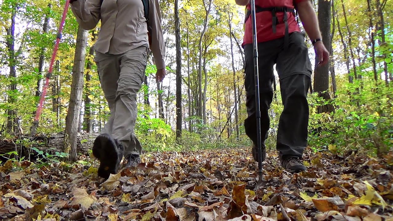 Salamonie Lake State Park 2021 - Bloodroot Trail (Mt. Etna State ...