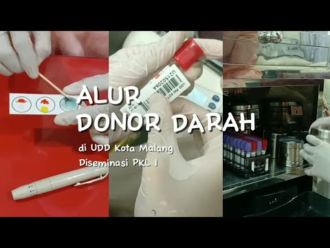 PROSEDUR DONOR DARAH OLEH KELOMPOK PKL UDD PMI KOTA MALANG - YouTube
