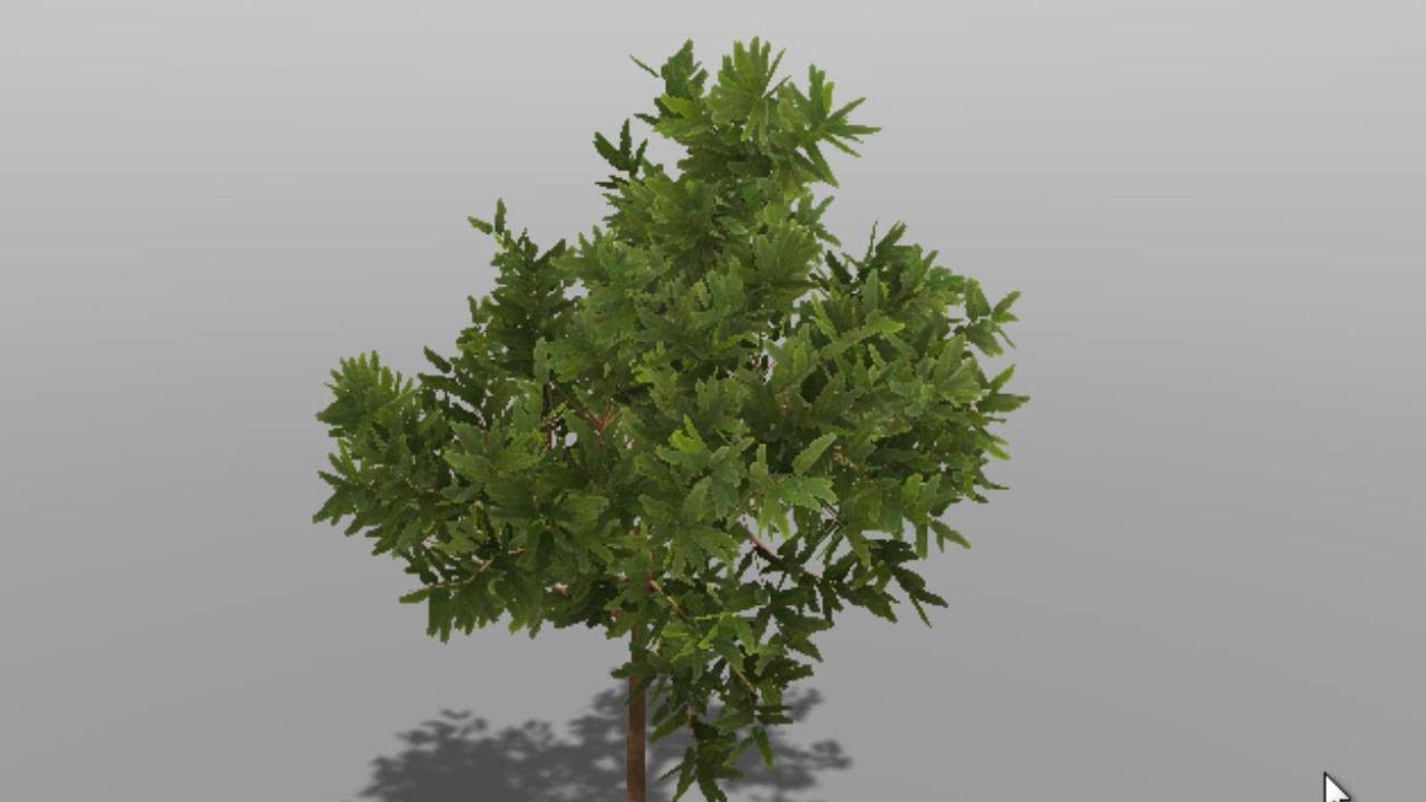 Tree[d] Tutorial Básico - YouTube