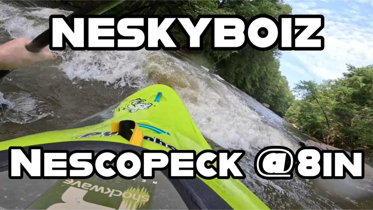 Nescopeck Creek Whitewater - Eddy/Surf Practice @8in - YouTube