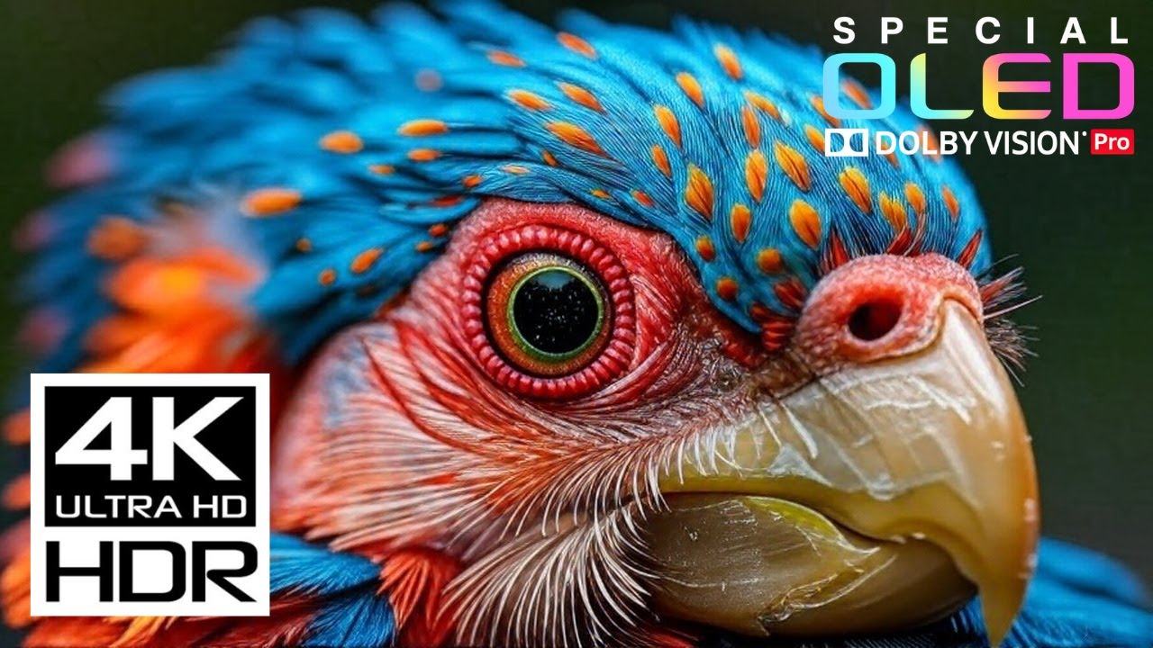 Ultra HD Planet Scenes | HDR 240FPS Dolby Vision Experience - YouTube