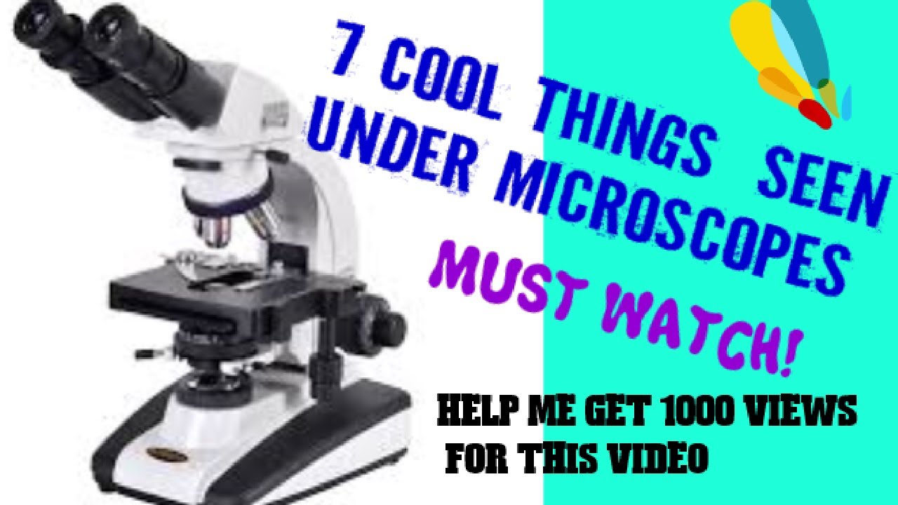 7 cool things seen under microscopes - YouTube