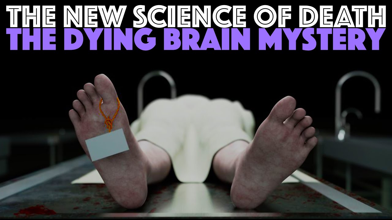 THE NEW SCIENCE OF DEATH: Something is Happening in The Dying Brain ...