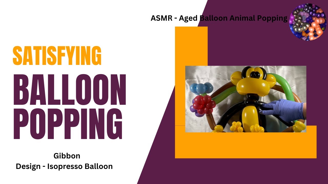 ASMR - Gibbon Balloon Animal Popping - YouTube