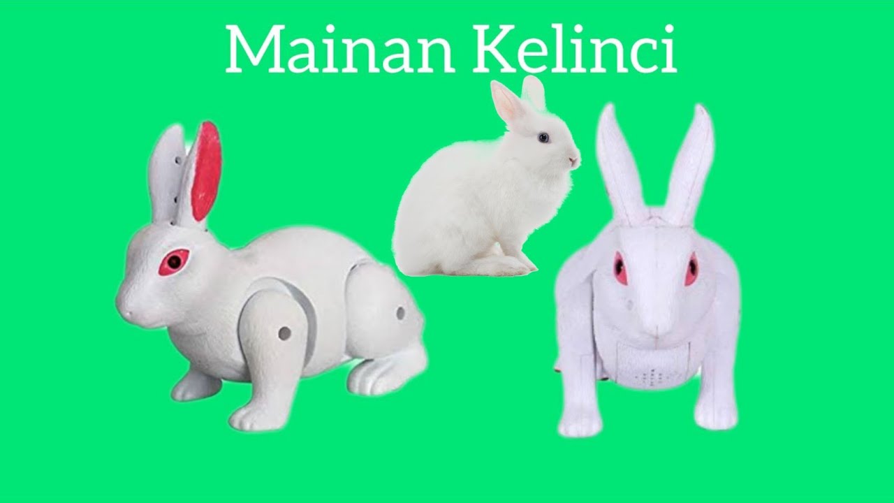 kelinci putih mainan #mainan #mainankelinci - YouTube