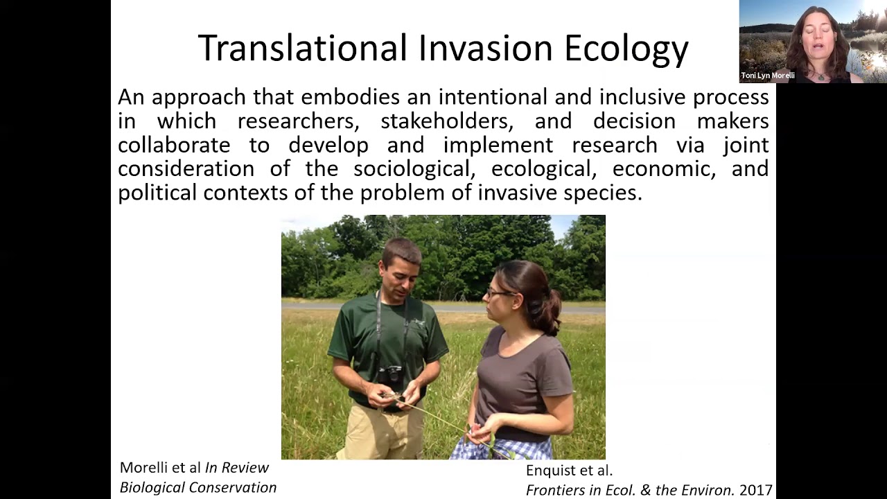RISCC Webinar June 8 2020 - YouTube