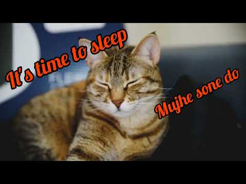 Cat Whatsapp Status: The Best Cat Videos EVER! | Reaction | Reaction video #shorts #shortsvideo #new