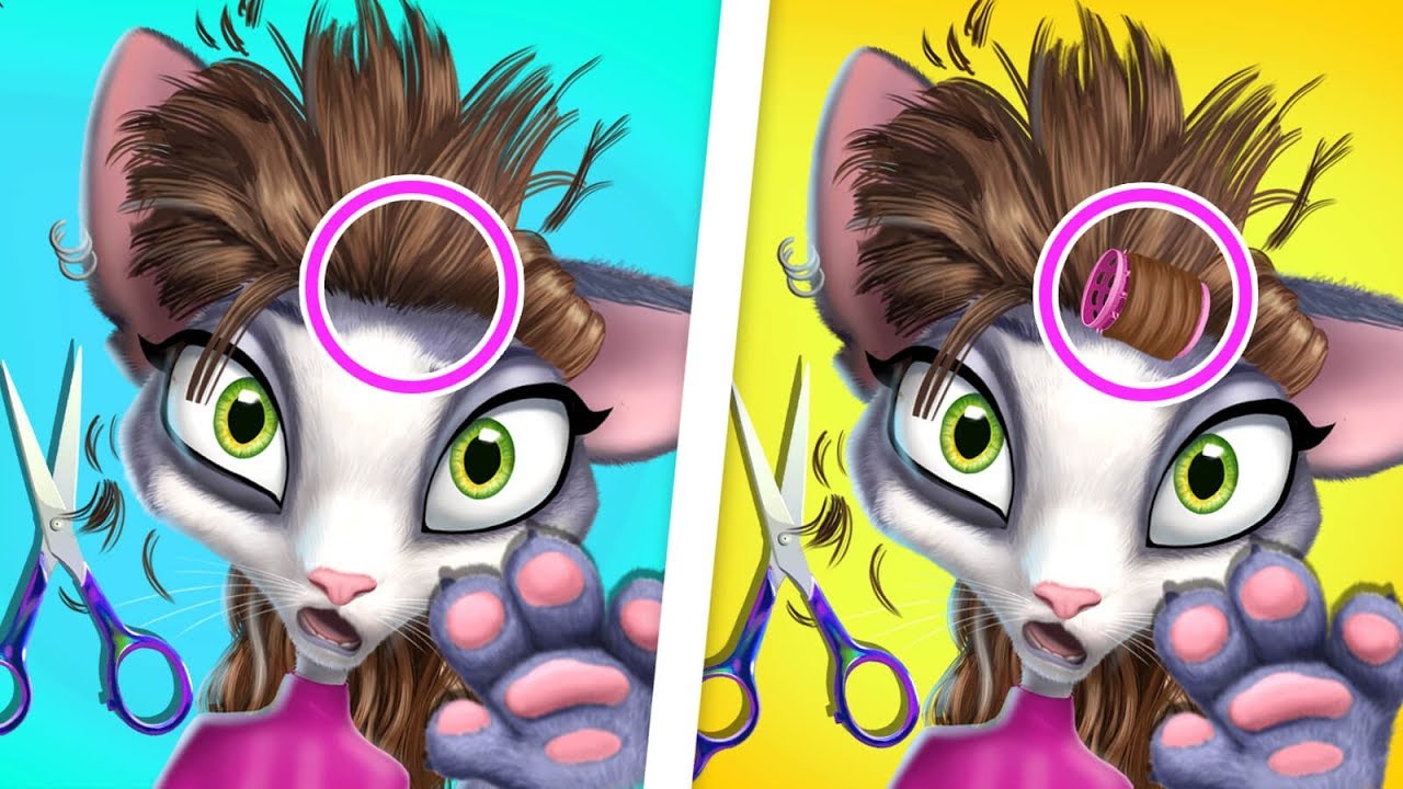 SPOT THE DIFFERENCE 🔎 with Cats from Amy's Animal Hair Salon ...