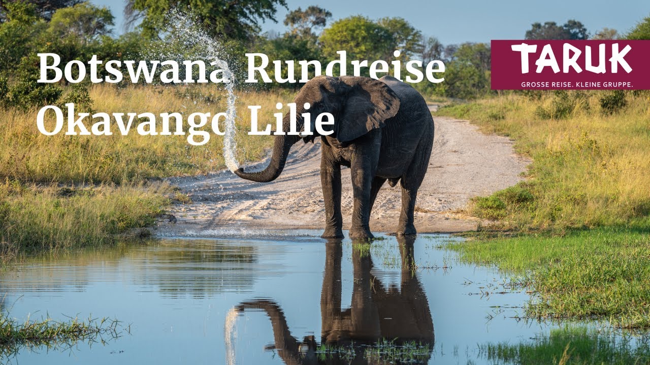 Botswana-Rundreise: Okavango Lilie – Safaris im Okavango Delta, Caprivi & Chobe erleben ...