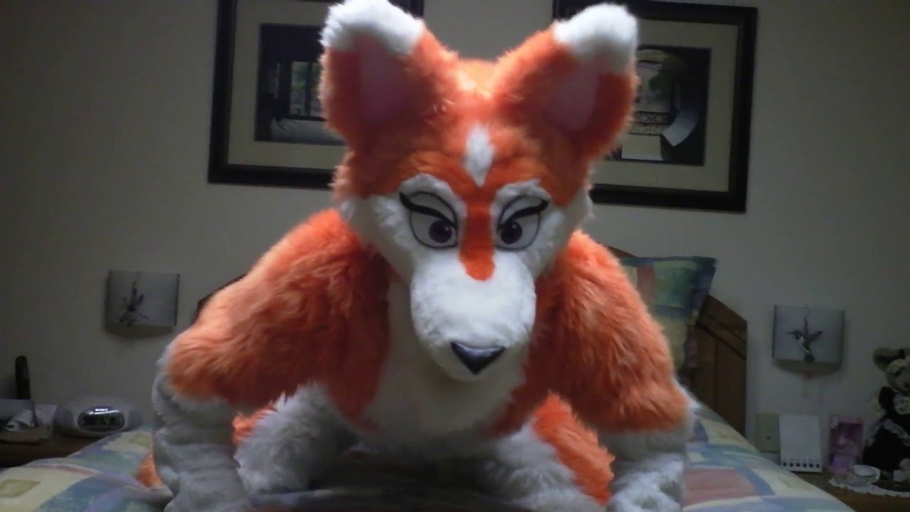 Furry Dance Video - YouTube