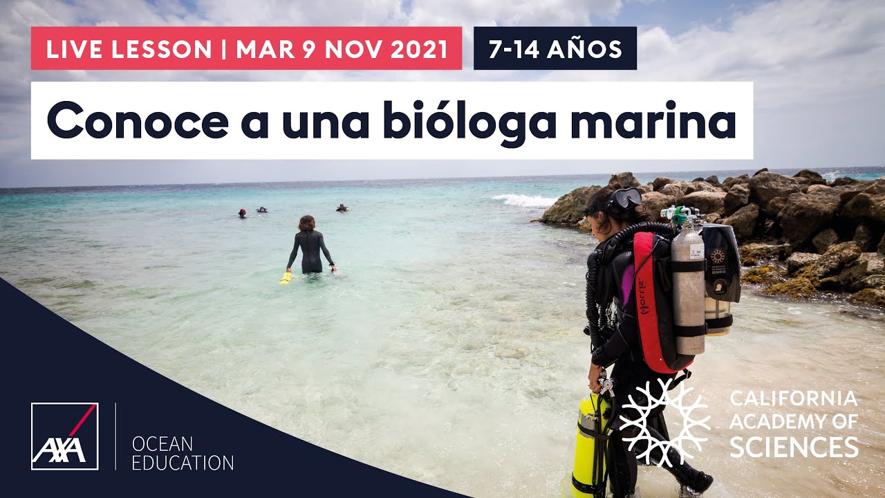 Conoce a una bióloga marina | 7-14 Años | AXA Coral Live 2021 - YouTube