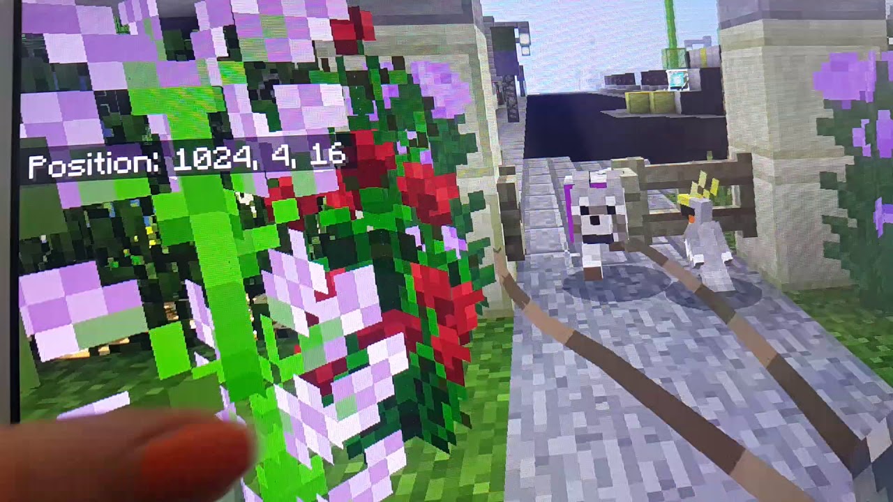 Minecraft Morning Routine with a trip to the Pool - Mimi & Ash - YouTube