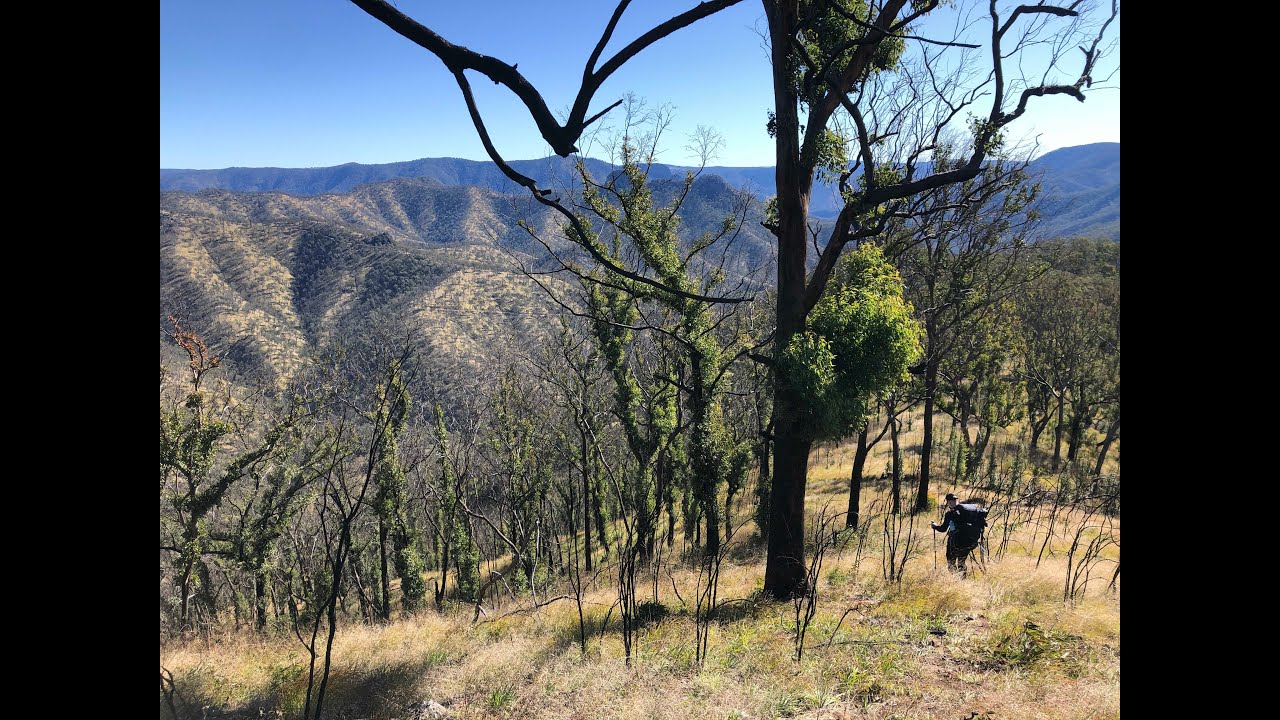Green Gully Track, Oxley Wild Rivers National Park - YouTube