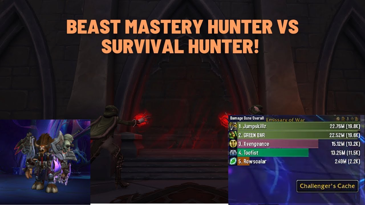 Close DPS Battle BM Hunter Vs Survival Hunter! @vengeance6692 @PA288325 ...