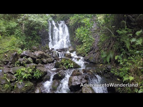 AdventuretoWanderland | Hamama & Waihe'e Falls - YouTube