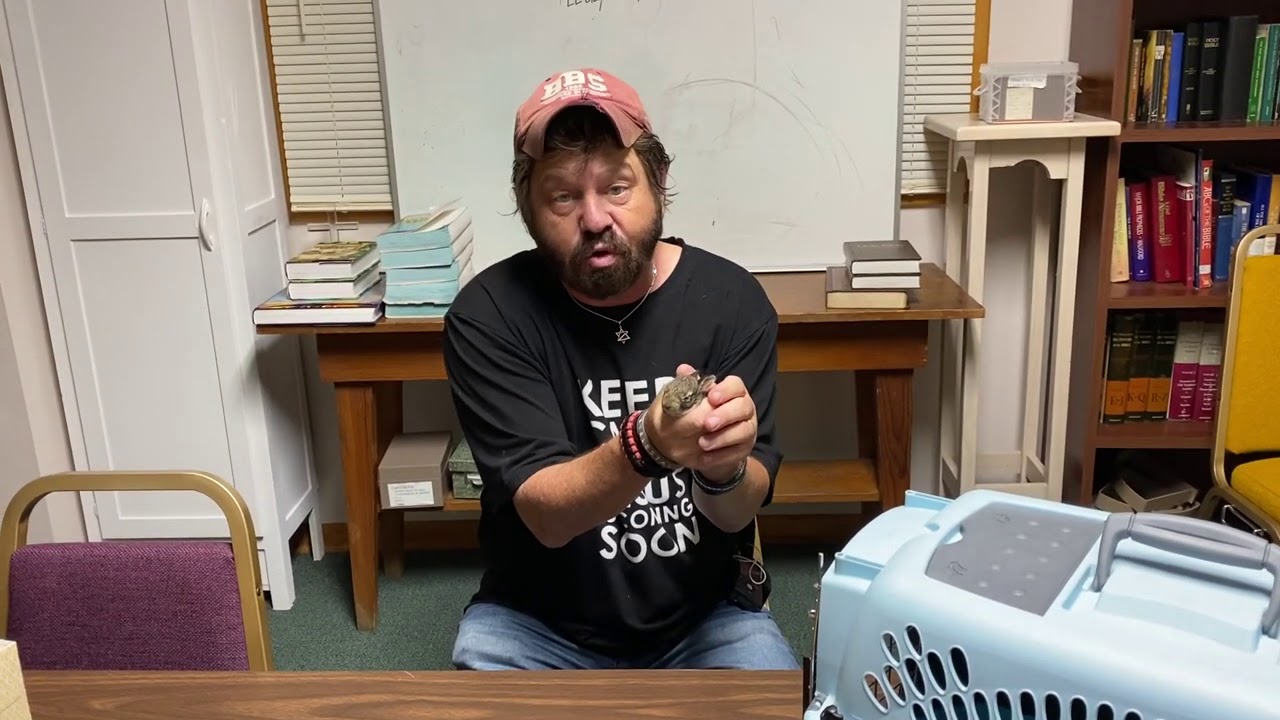 Jesus loves all His creatures. Prayers needed for rabbit rescue. Shalom ...