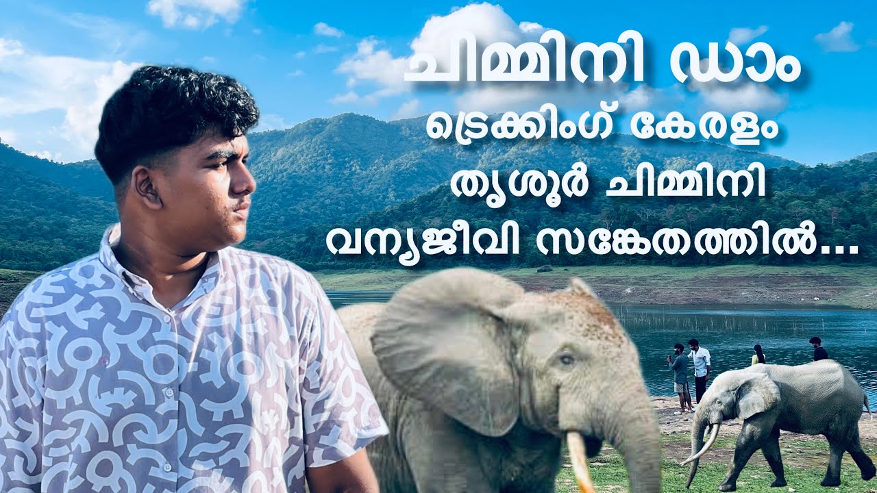 CHIMMINI DAM TREKKING KERALA THRISSUR 😂CHIMMINI WILDLIFE SANCTUARY TRIP ...