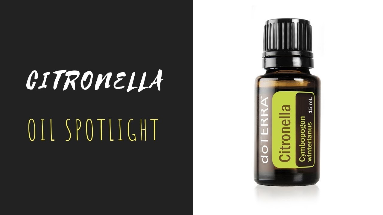 Citronella - doTERRA Essential Oil Spotlight - YouTube