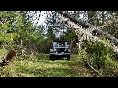 Elliott State Forest in Oregon - YouTube