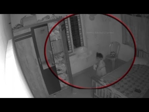 cctv camera capture real ghost animals video #ytlive #livevideo #horror ...