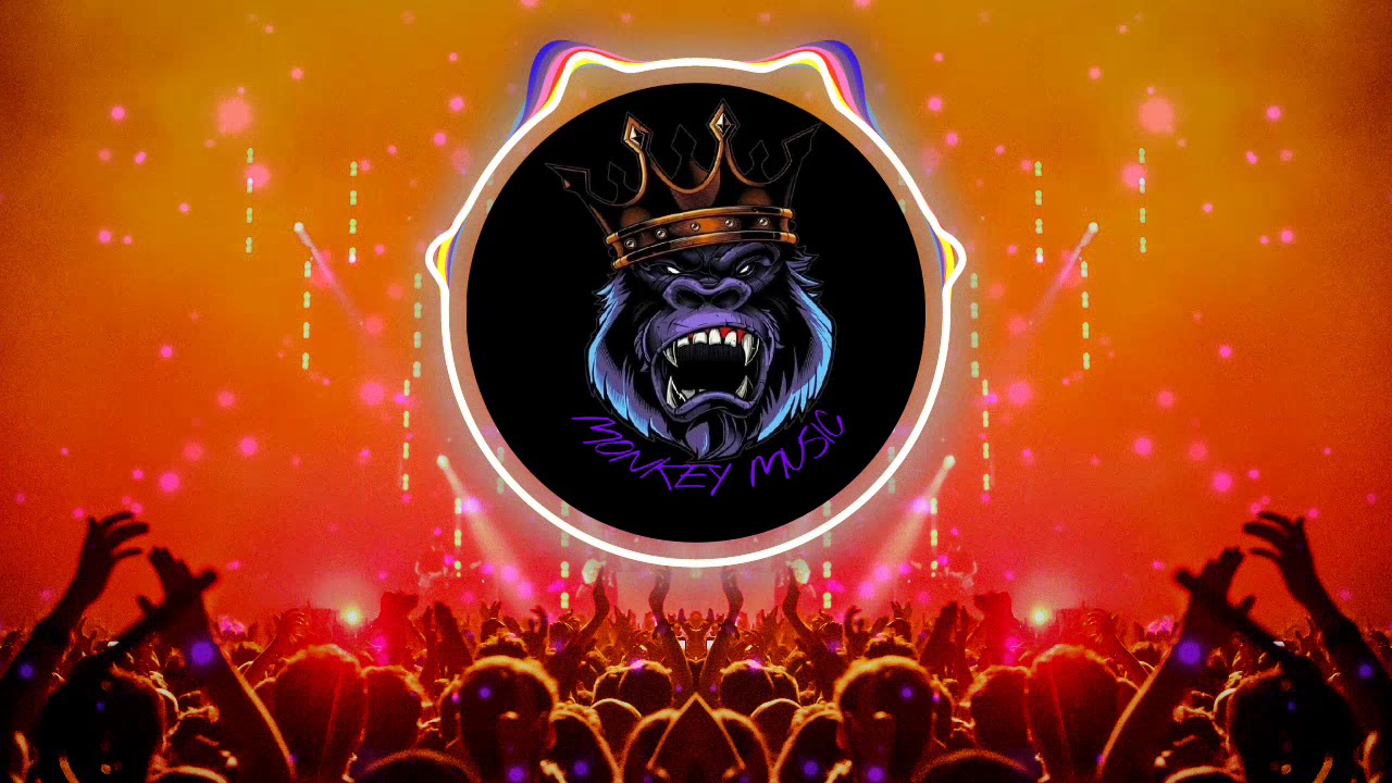 🎵Musica electrónica 2020 acid Monkey Music🎵😎 - YouTube