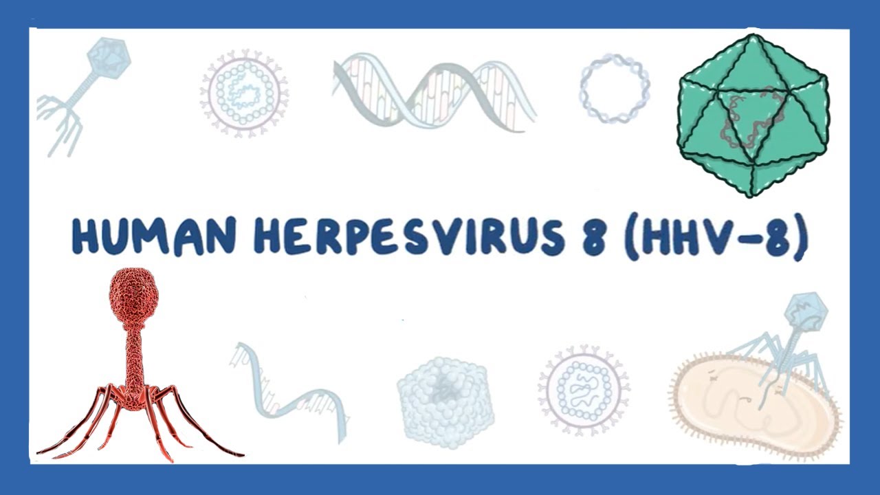 Human herpesvirus 8 ( Kaposi sarcoma ) 4 - YouTube
