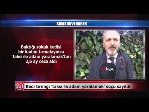 Kedi tırmığı 'taksirle adam yaralamak' suçu sayıldı | Samsun ve Haber