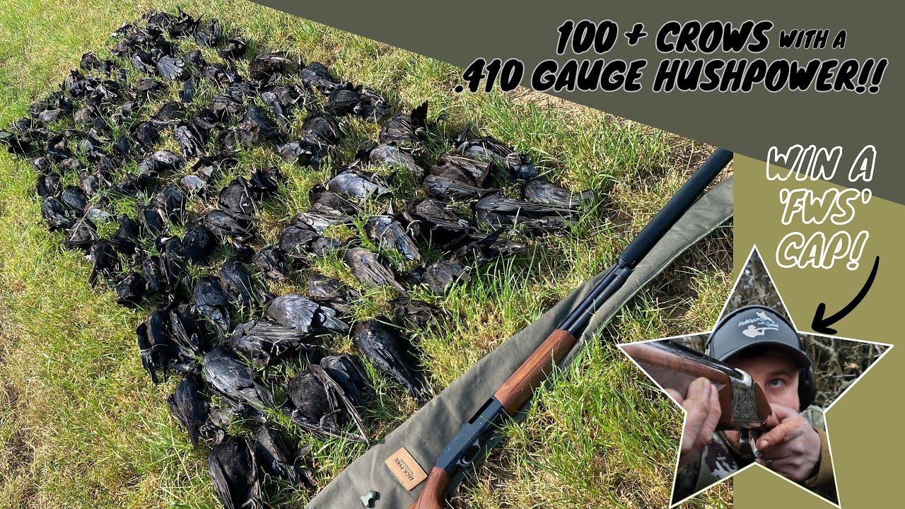 Crow Shooting | 100+ Crows | Decoying with a .410 Hush Power | Silage ...