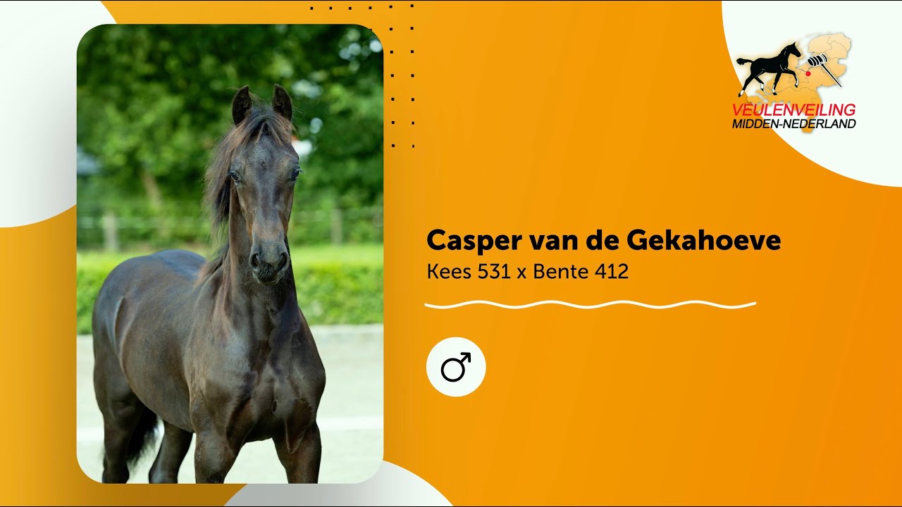 Casper van de Gekahoeve | Kees 531 x Bente 412 - YouTube