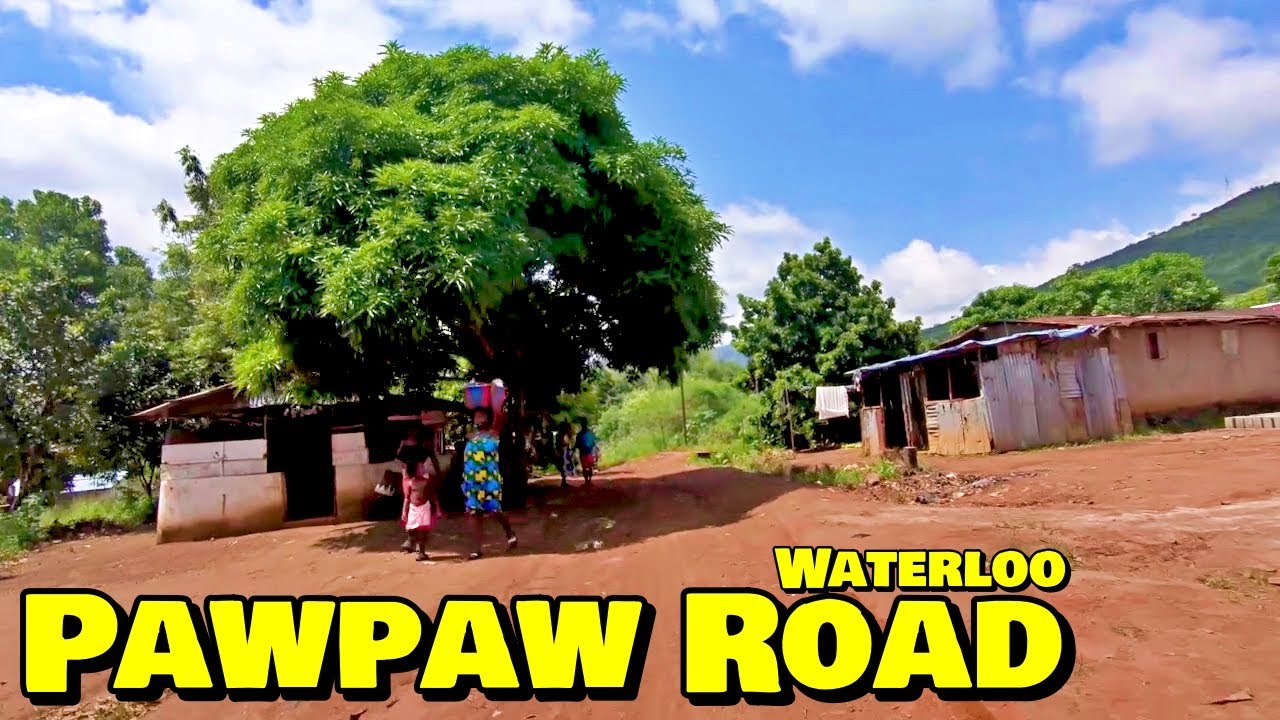 Welcome To PAWPAW ROAD - WATERLOO - 🇸🇱 Roadtrip 2023 - Explore With ...