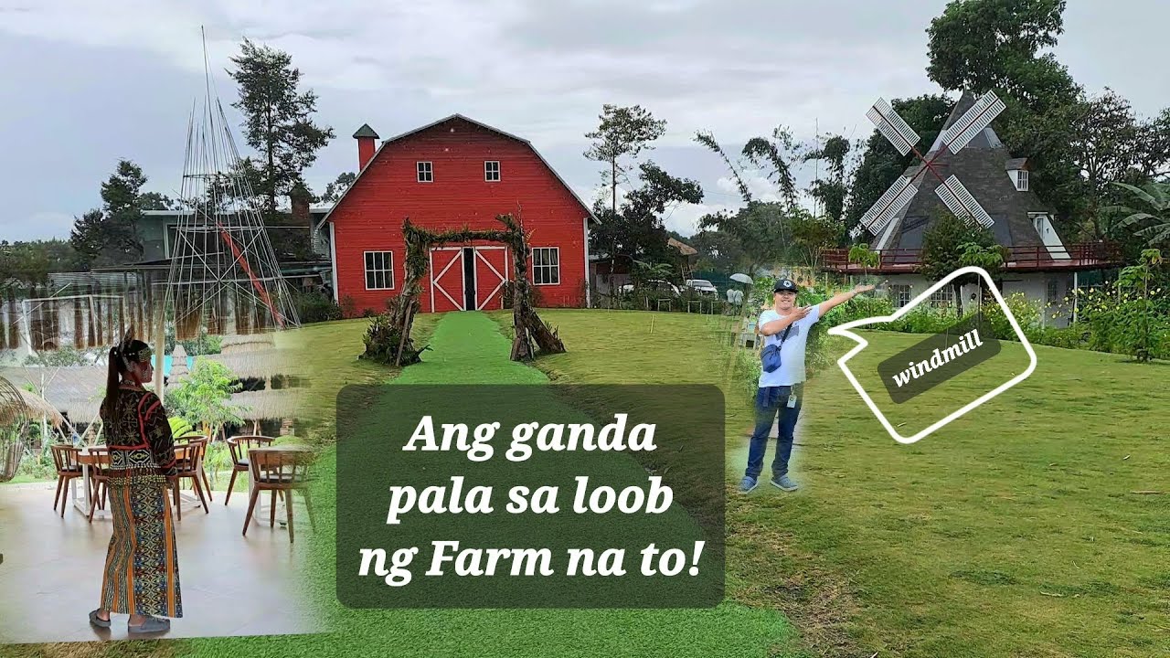 SG Farm, Tupi south Cotabato Phillippines, Tara! silipin natin #SGFARM ...