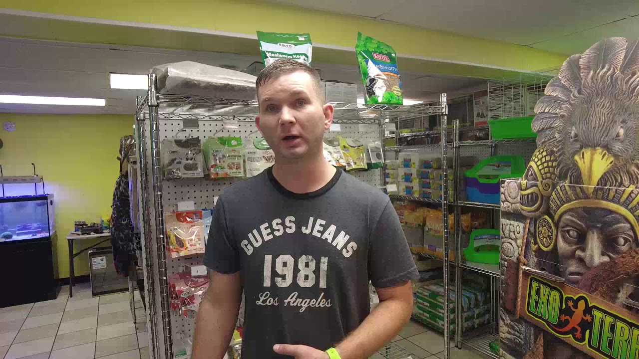 Short on cash? Not a problem! - YouTube