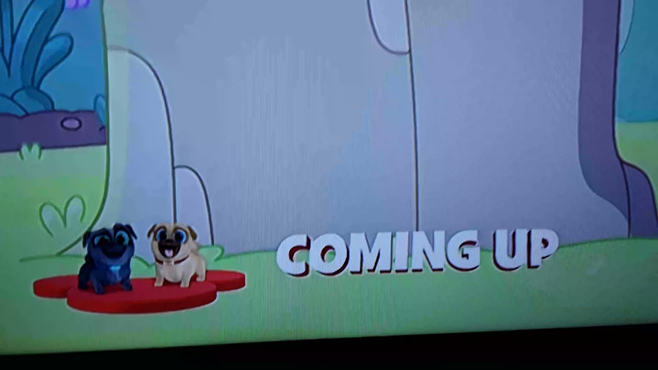 Disney junior Puppy dog pals Coming up screen bug mickey mornings - YouTube