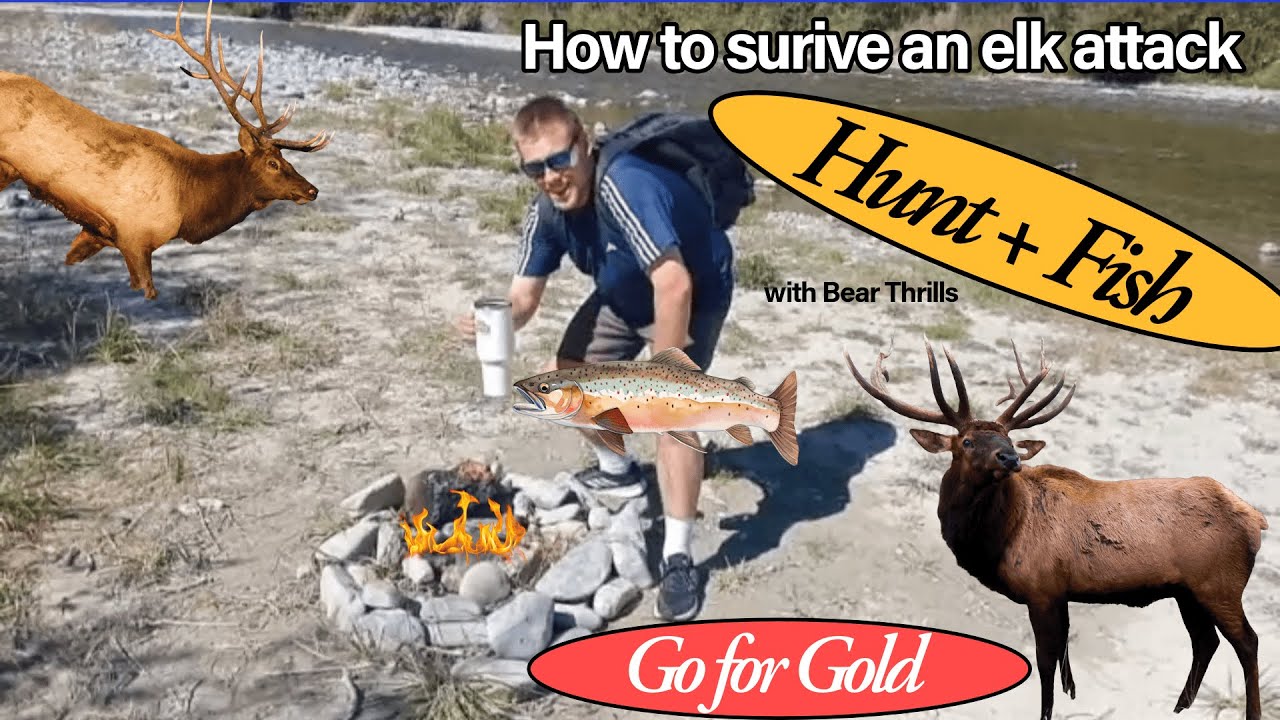 Episode 4: Man vs. Wild Elk Challenge – Extreme Bush Survival Tactics ...