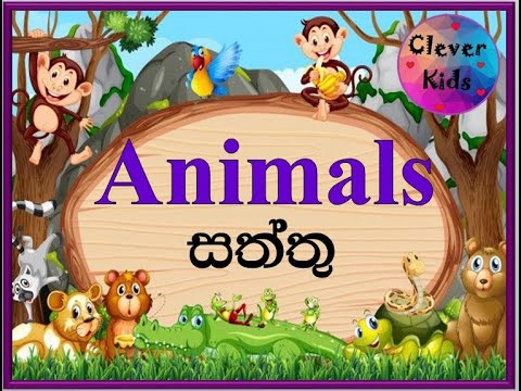 Animals / සත්තු / Let's learn animals in English / සතුන්ගේ නම් ඉංග් ...