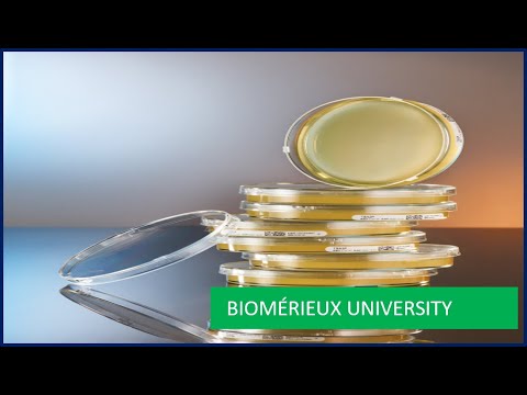 COUNT-TACT® 3P® Plates Systems: How Open Plate Packaging - YouTube