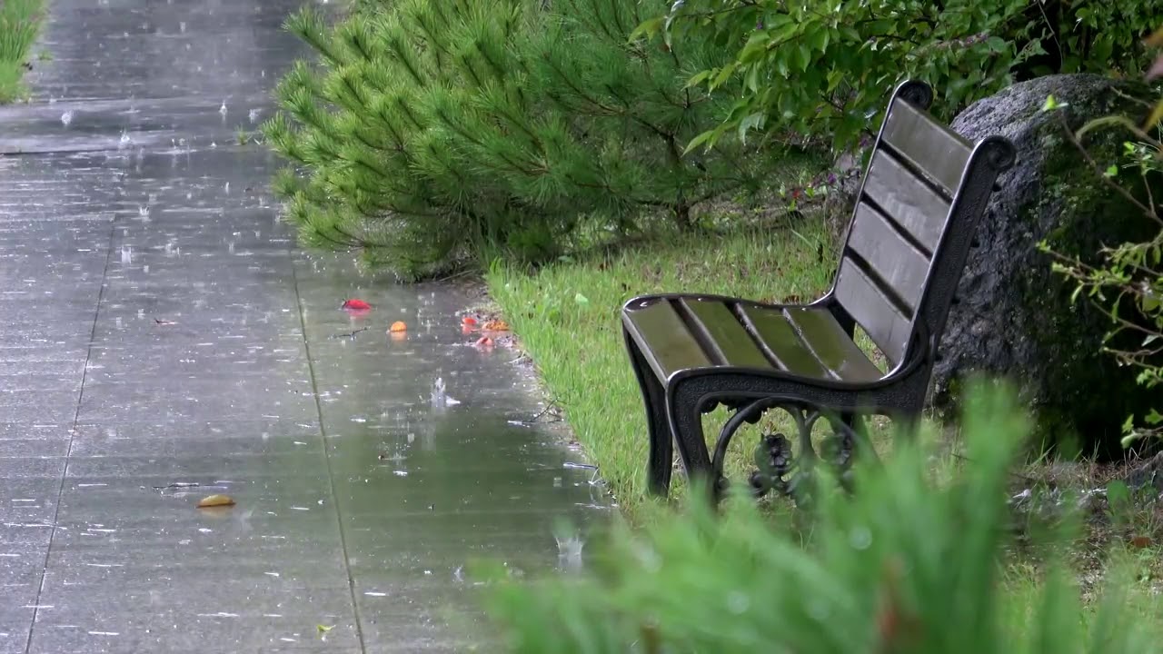 Paisaje de lluvia en un banco del parque, agradable sonido lluvioso ,El ...
