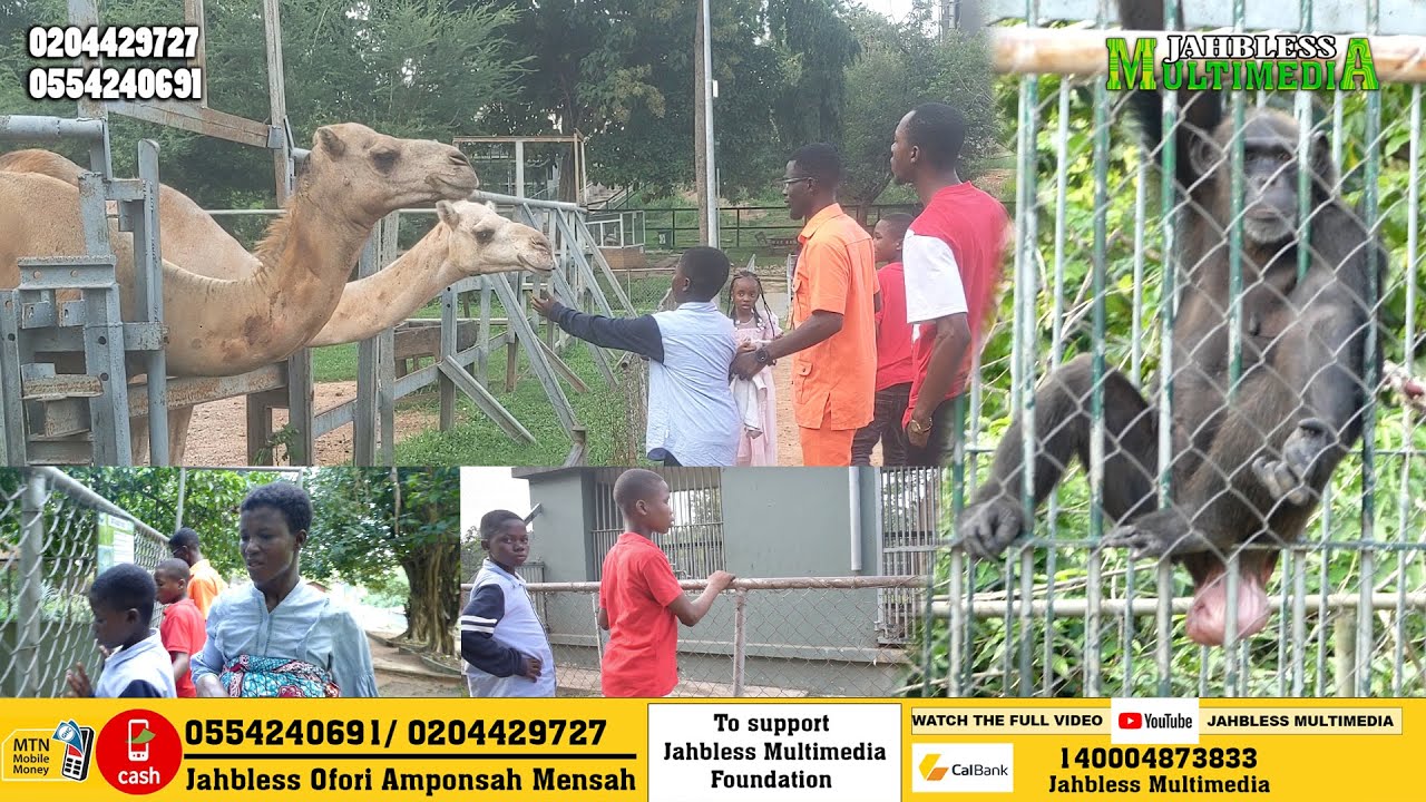 Solomon, Joshua, Ramat and Jahbless visited Kumasi Zoo for excursion - YouTube