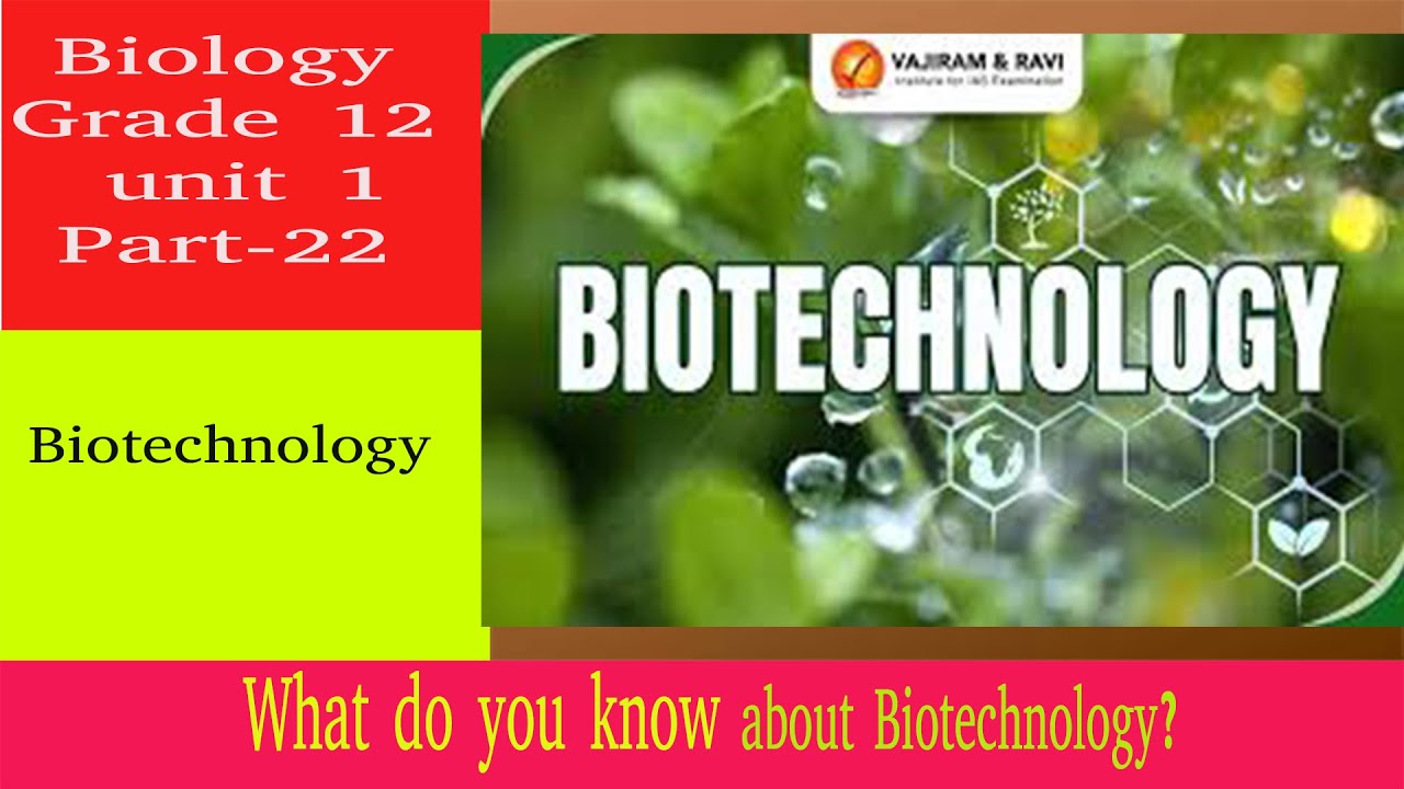 Biology Grade 12 unit 1 part 22: Biotechnology - YouTube