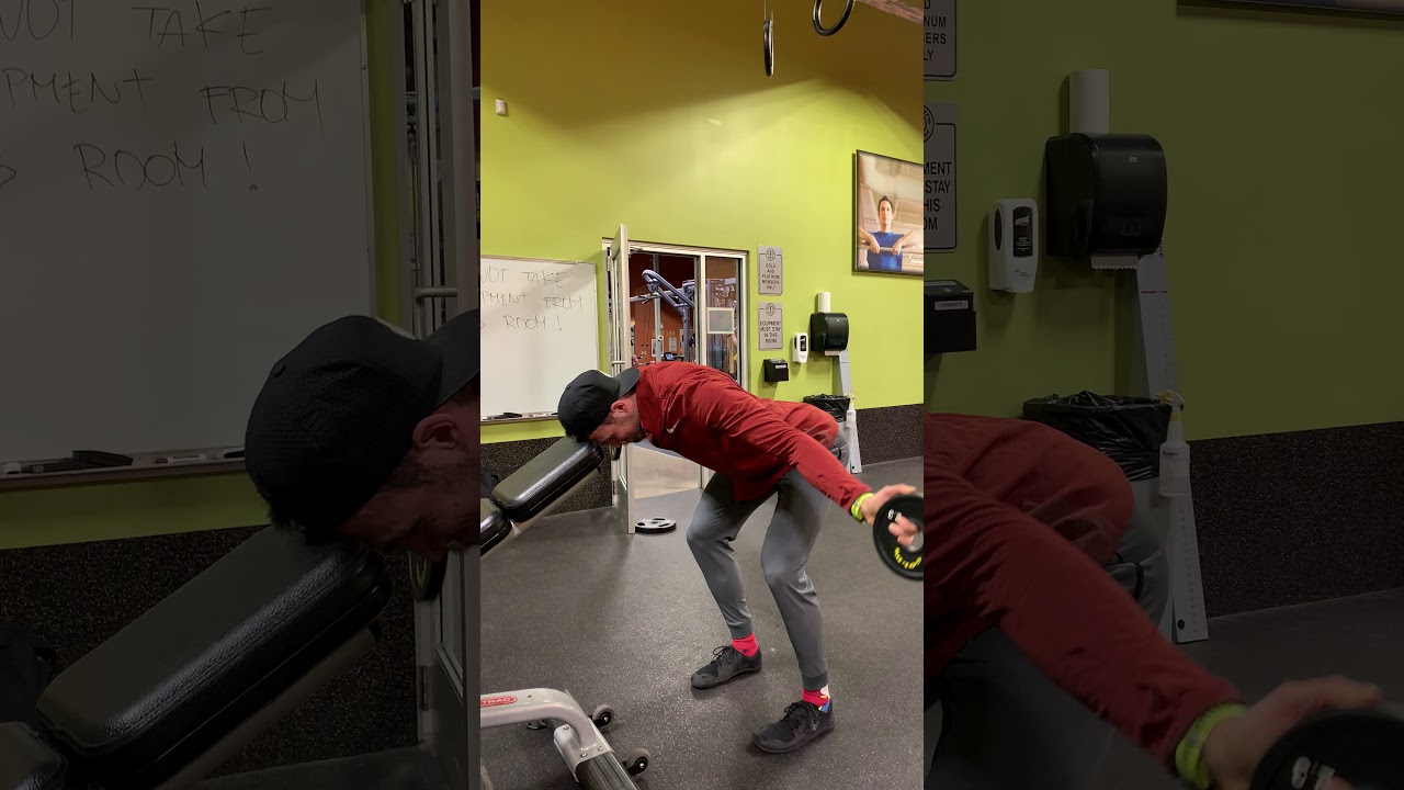 Rear Delt Plate Raise w/ Articular Rotation - YouTube