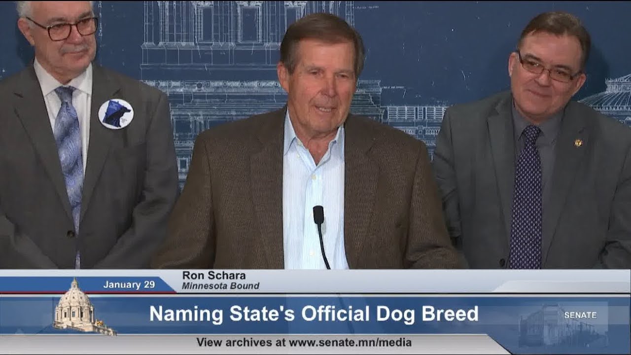 Designating the Official State Dog Breed - YouTube