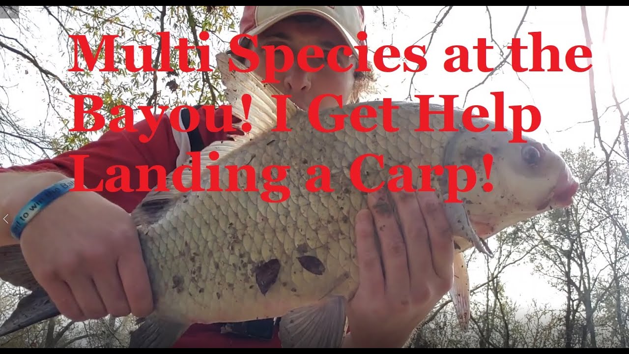 Multi Species Bayou fishing! I Get Some Help Landing a Fish From ...