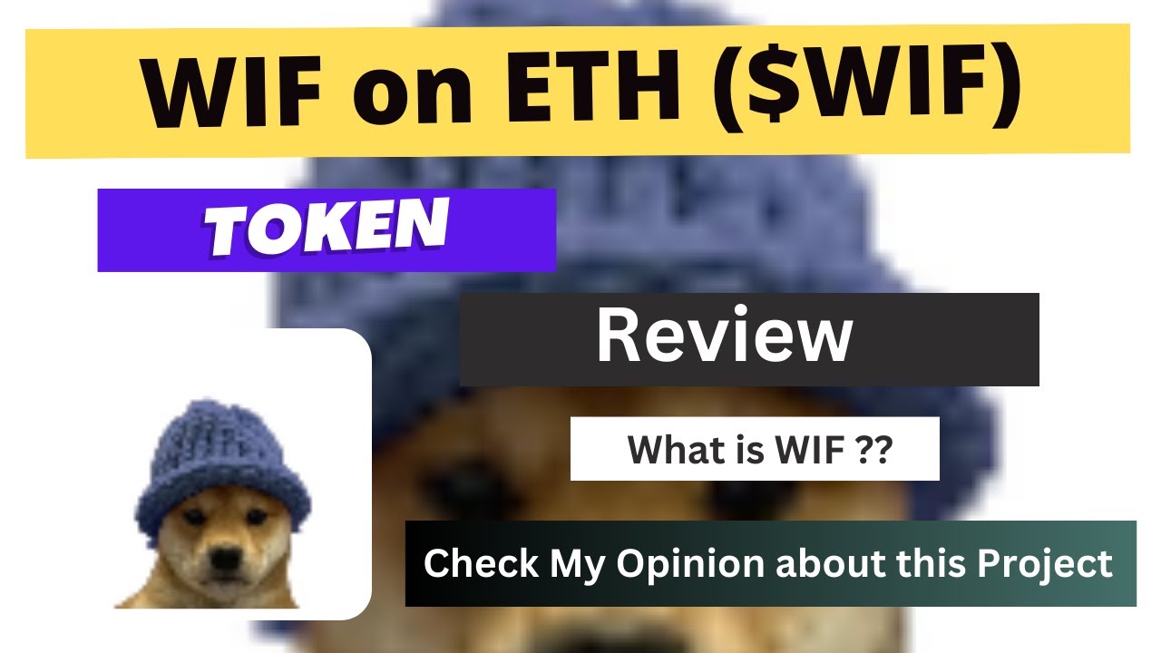 What is WIF on ETH (WIF) Coin | Review About WIF Token - YouTube