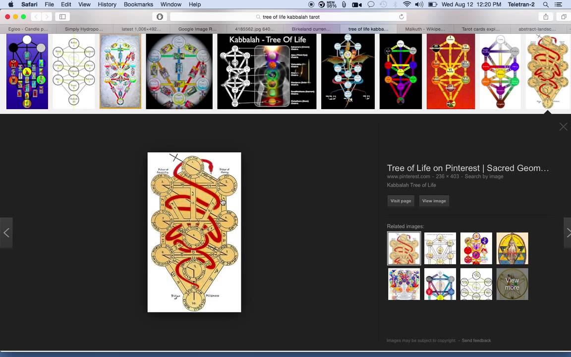 Flat Earth and the Tree of Life un dedunkable *google hides this video ...