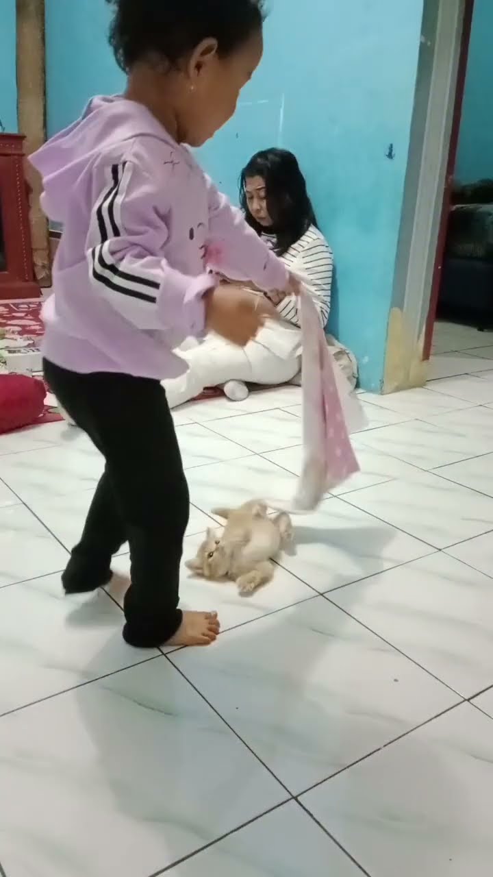 Shakiya main sama coco (kucingnya) - YouTube