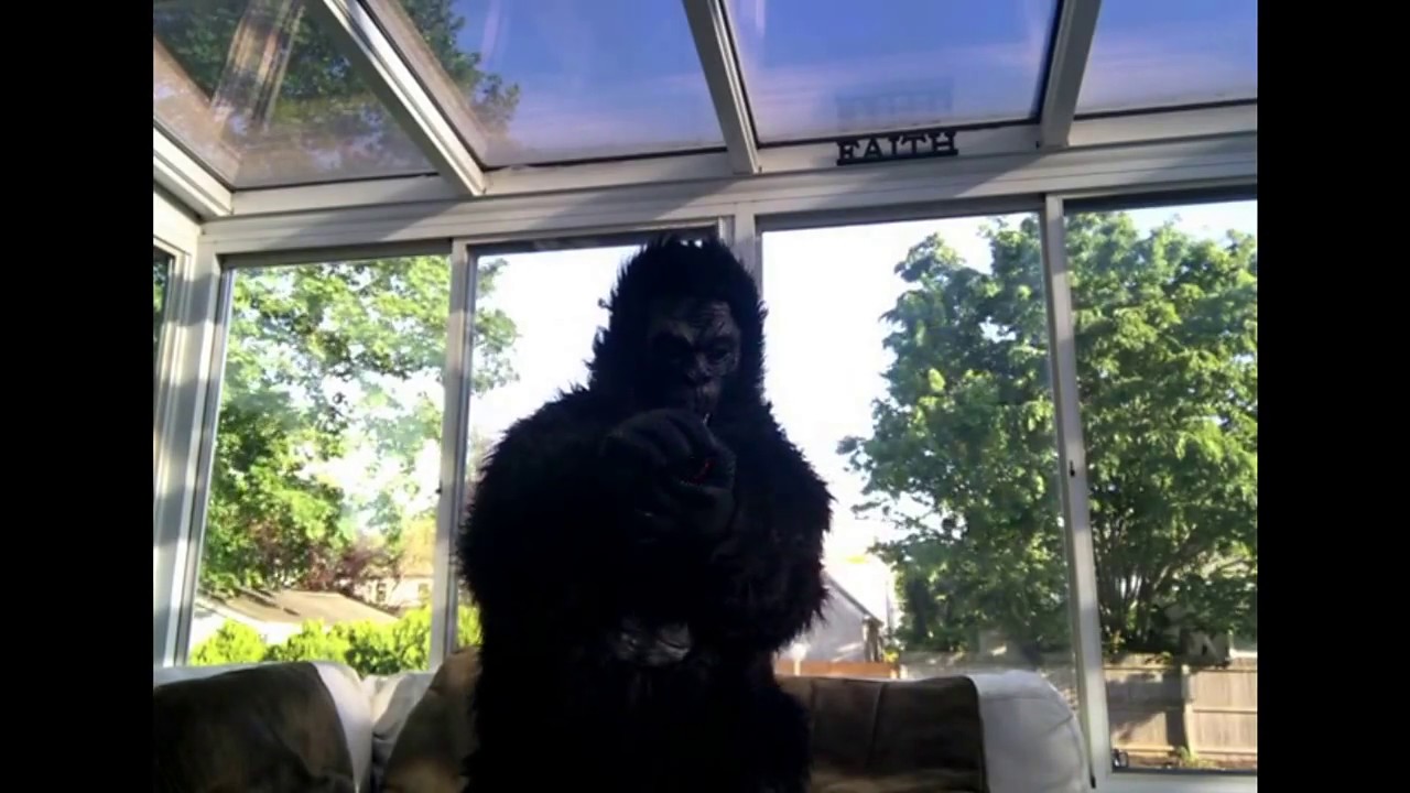 MR.CHIMP Uses a Fidget Cube - YouTube