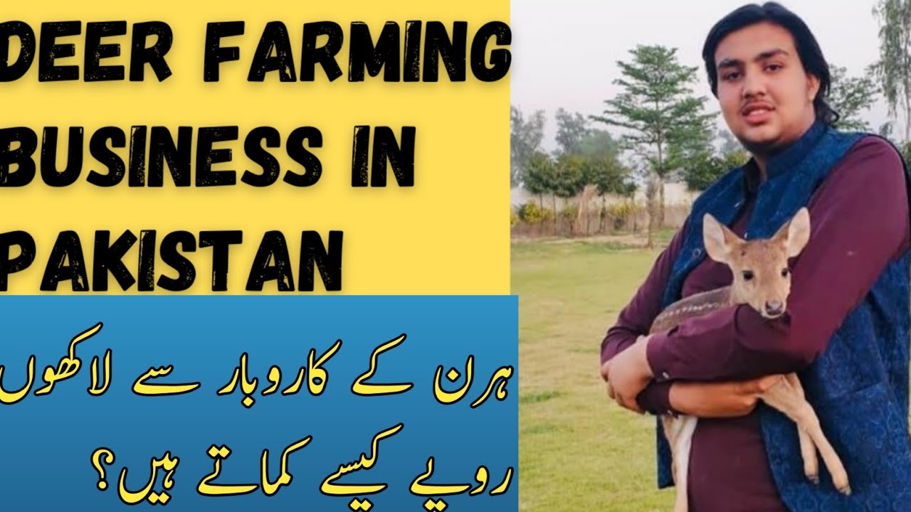 Deer Farming business in Pakistan | at| Hiran Farming in Pakistan - YouTube