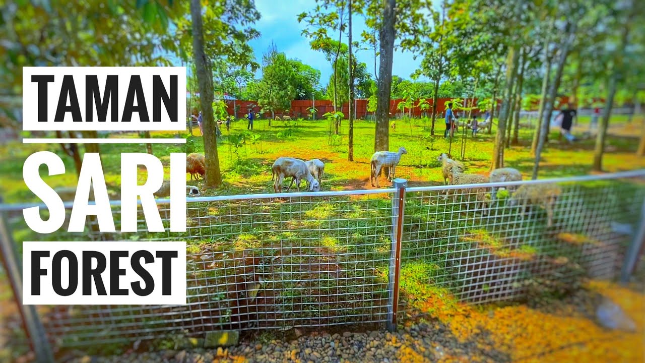 Mini Zoo Lagi Viral: TAMAN SARI FOREST di Setu Bekasi - YouTube