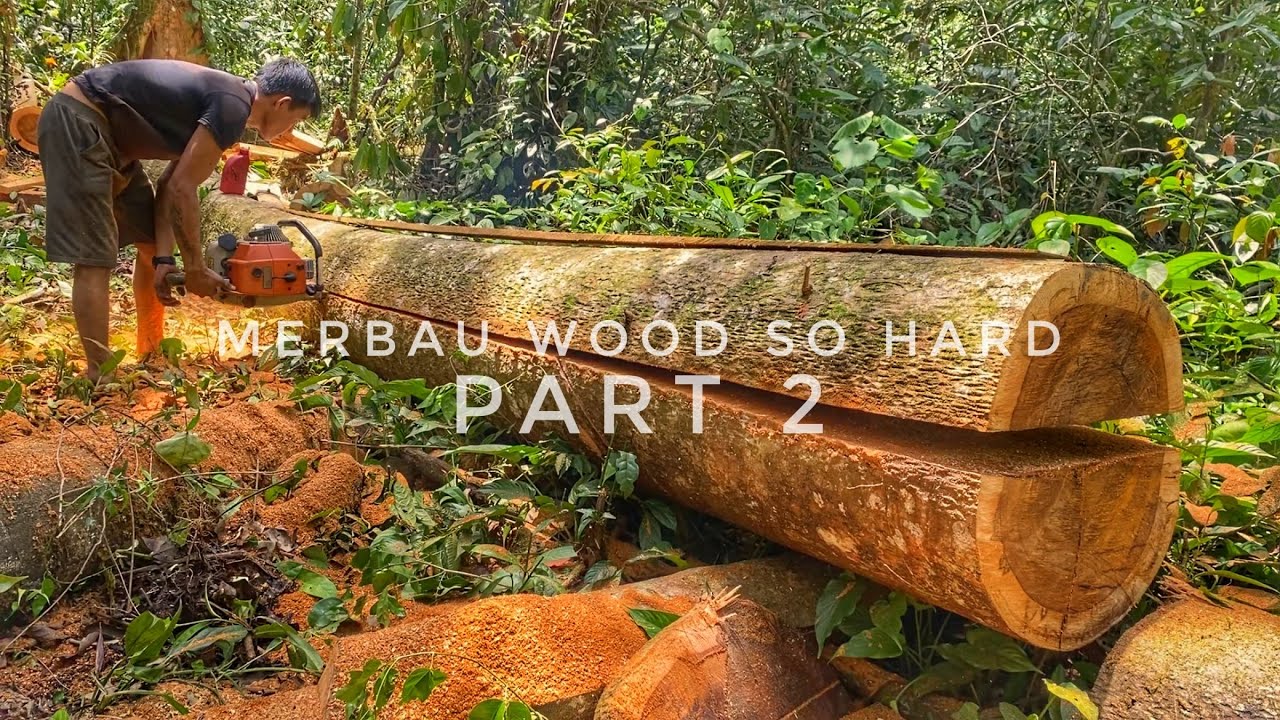 SMARTWORK‼️ PART 2 MAKSIMALKAN KAYU MERBAU PECAH PAKAI CARA MENYAMPING ...